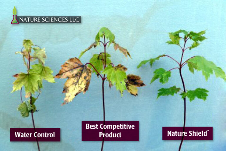Nature Sciences LLC